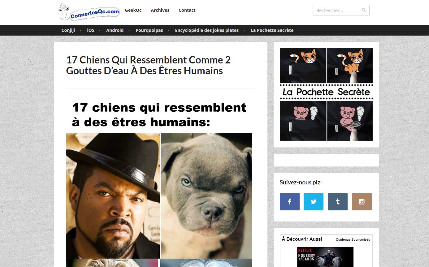 4 Meilleurs sites d’humour au Québec - 2021 | Site Comme